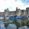 Menai Strait Cruises – Daily boat trips with stunning views